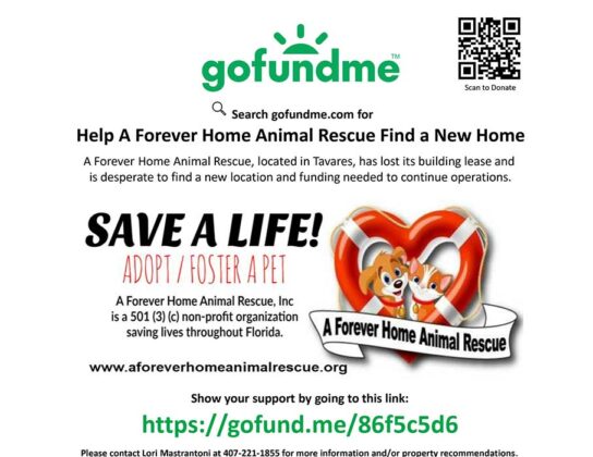 GoFundMe Pull Tab Flyer | South Lake Tablet